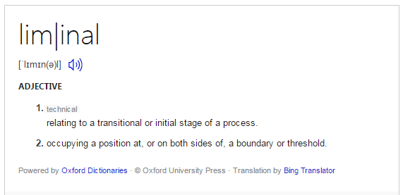 Liminal Leadership Required; We’re on the Edge | @LeadingLearner